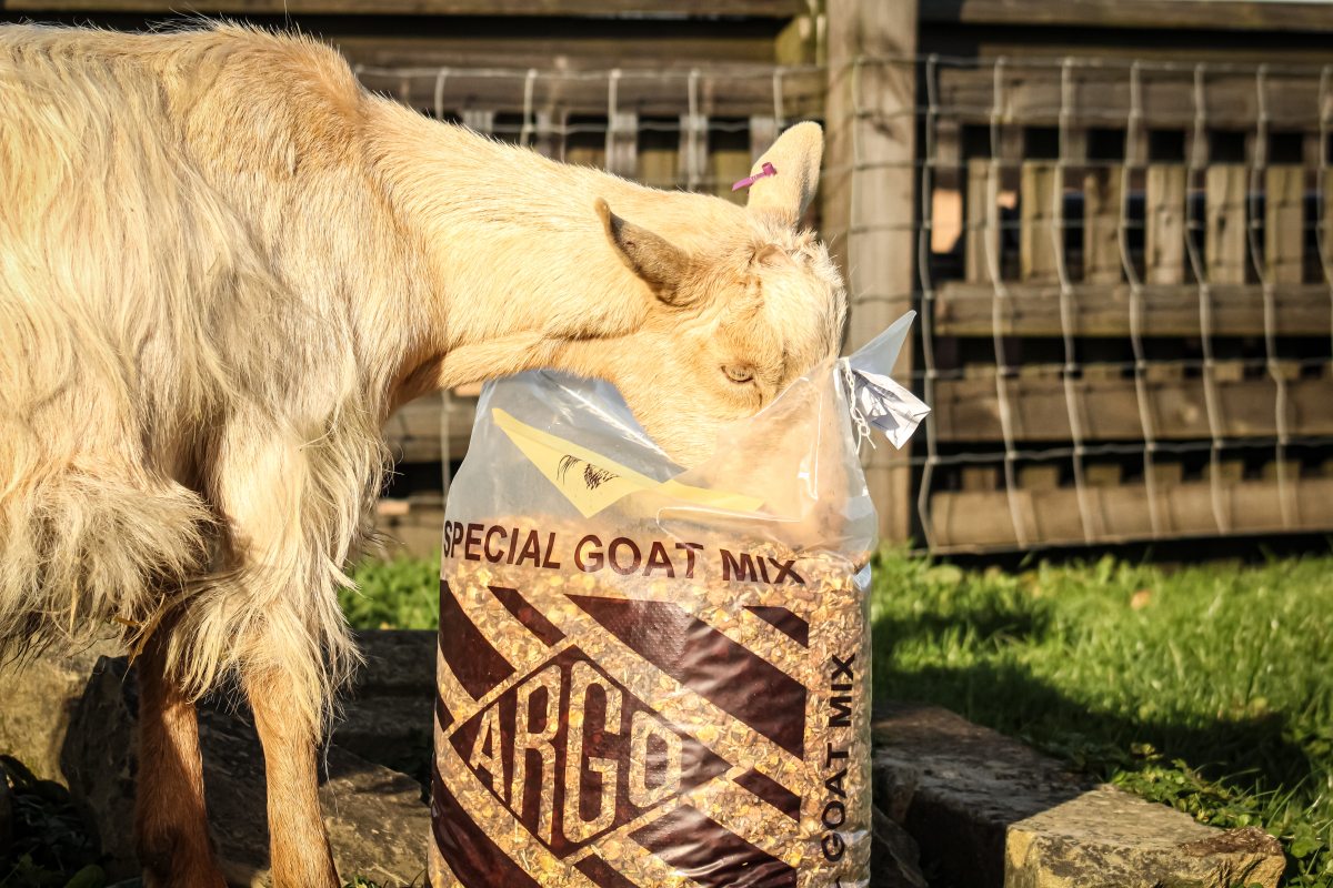 Special Goat Mix – Argo Feeds