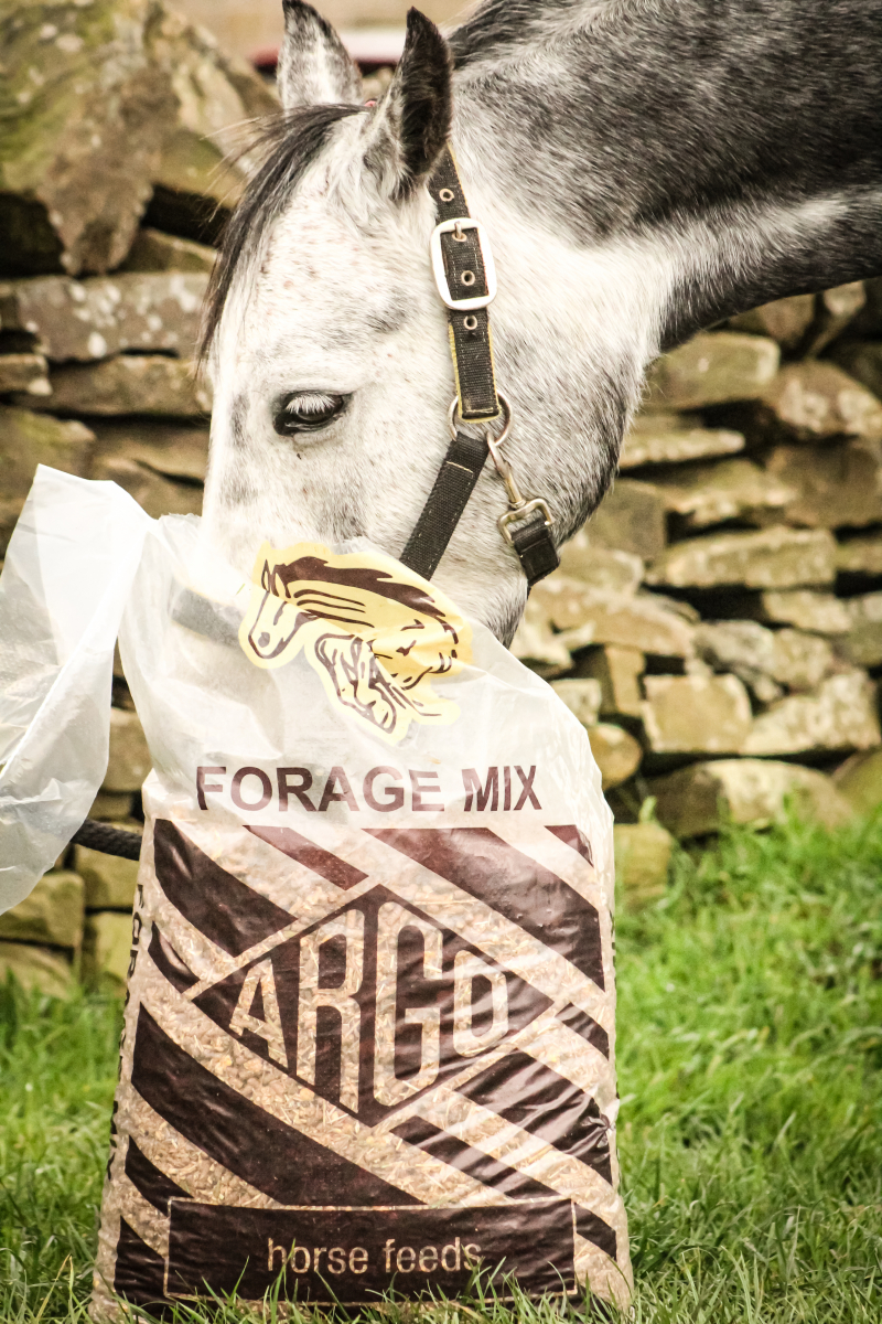 Forage Mix – Argo Feeds