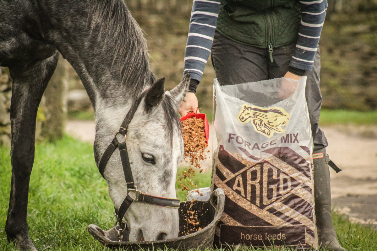 Forage Mix – Argo Feeds