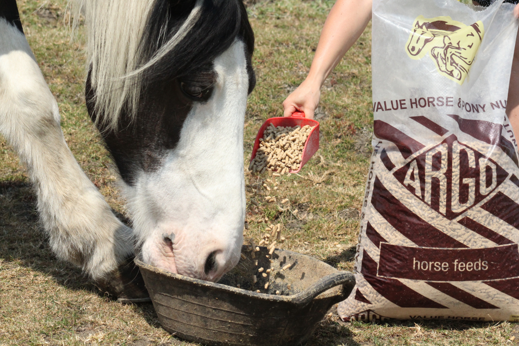 Value Horse and Pony Cubes – Argo Feeds