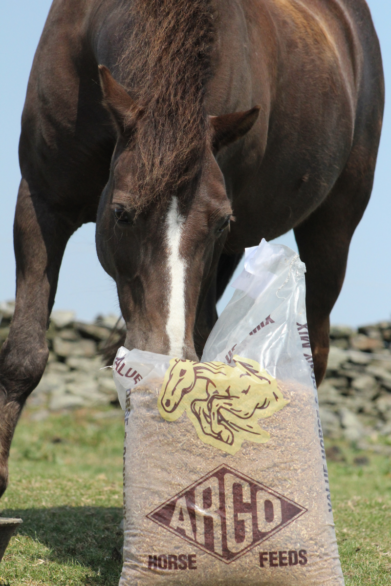 Value Horse & Pony Mix – Argo Feeds