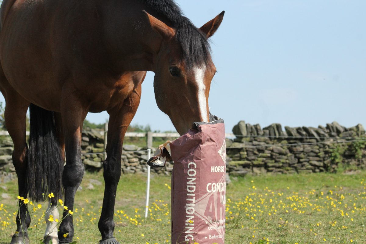 Conditioning Mix – Argo Feeds